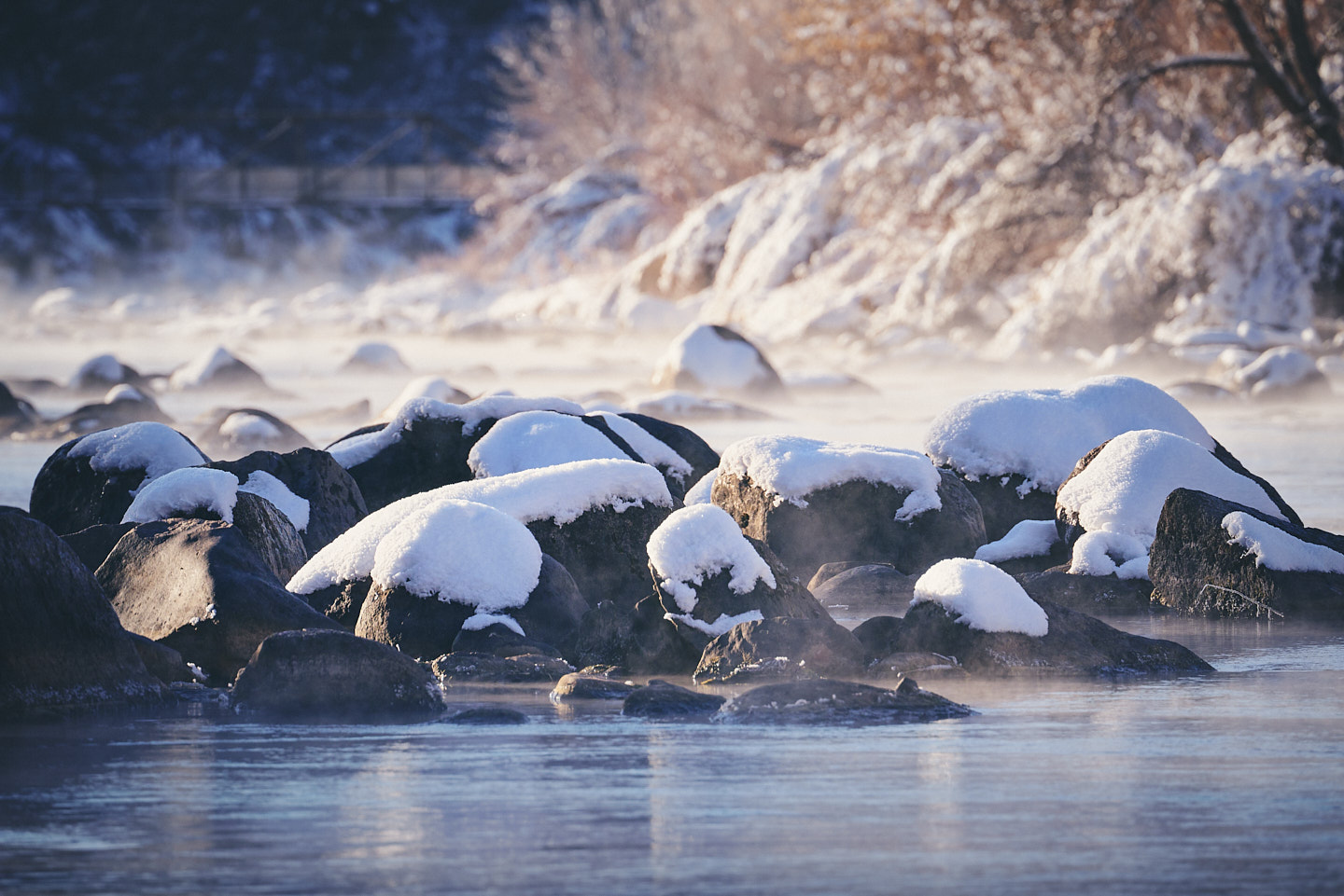 Photography by Jason Coward - Portfolios